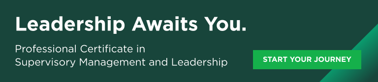 Online Non-Credit Certificate Programs - Masters & Professional